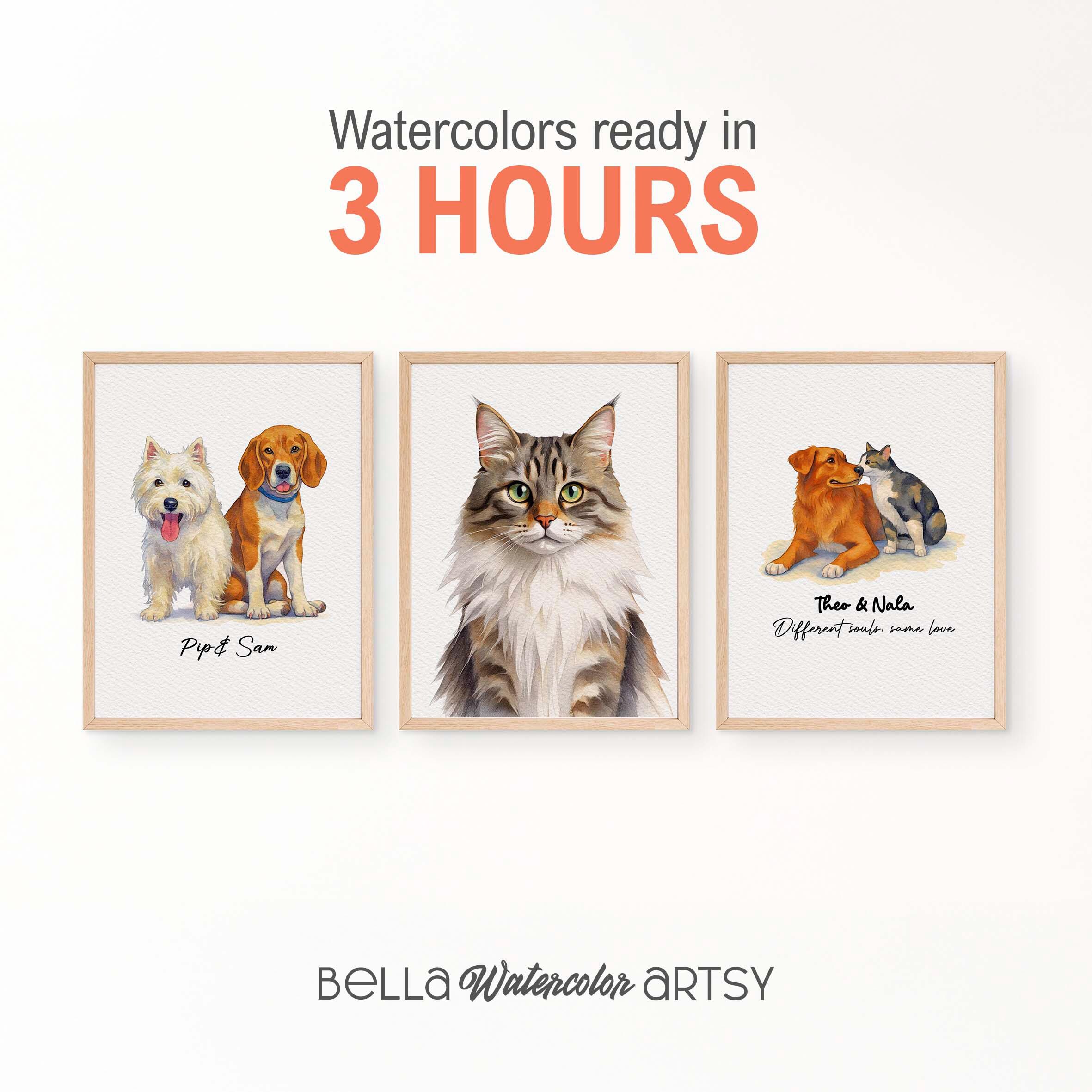 Custom Cat Illustration Watercolor, Commissioned Digital Pet Painting ...