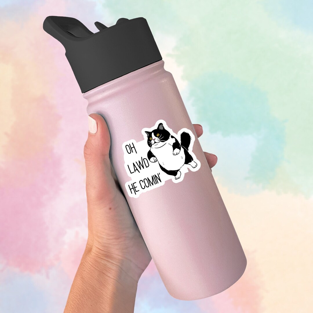 Oh Lawd He Comin' Cat Sticker: Funny Sarcastic Vinyl Decal - Etsy