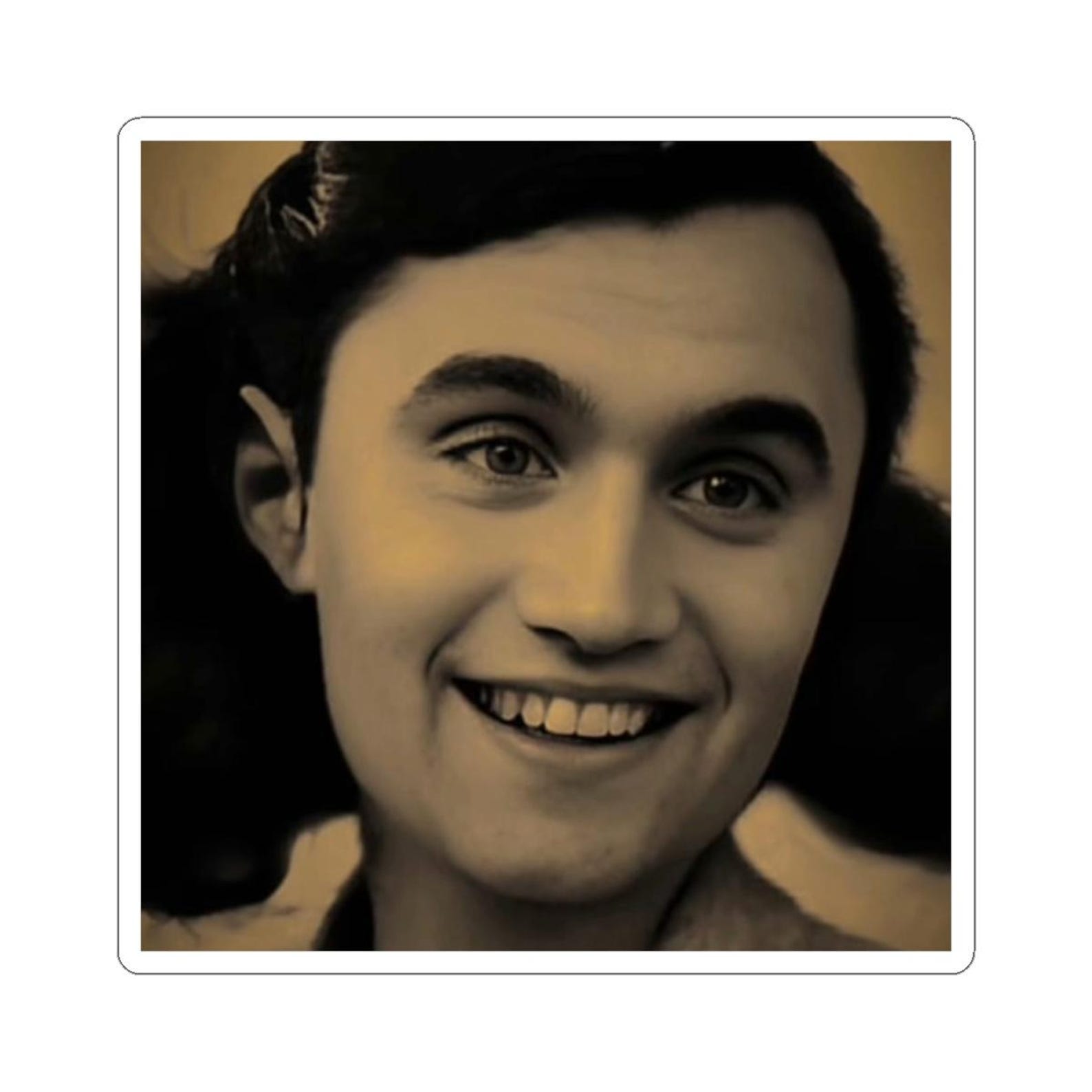 Charlie Kirk Memevinyl Sticker - Etsy