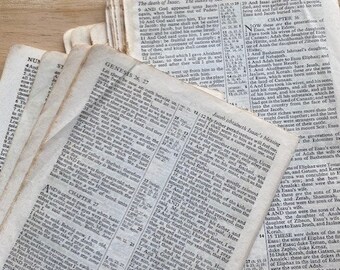 Vintage Holy Bible Pages, 25 Book Pages - Etsy