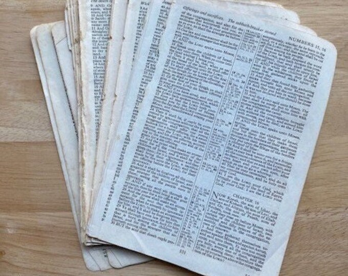 Vintage Holy Bible Pages, 25 Book Pages - Etsy