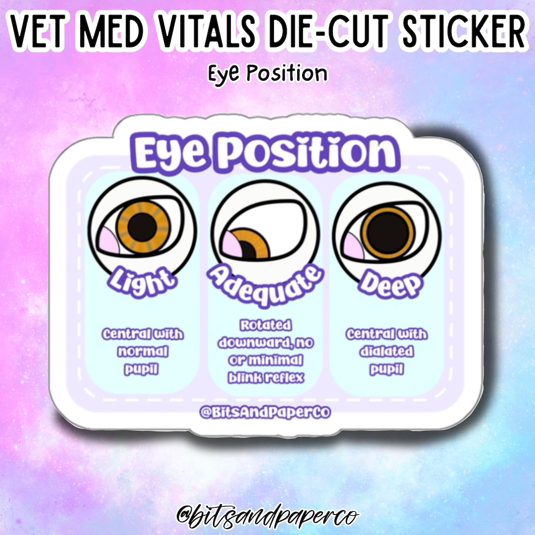 Veterinary Eye Position Anesthesia Chart | Canine & Feline Reference ...