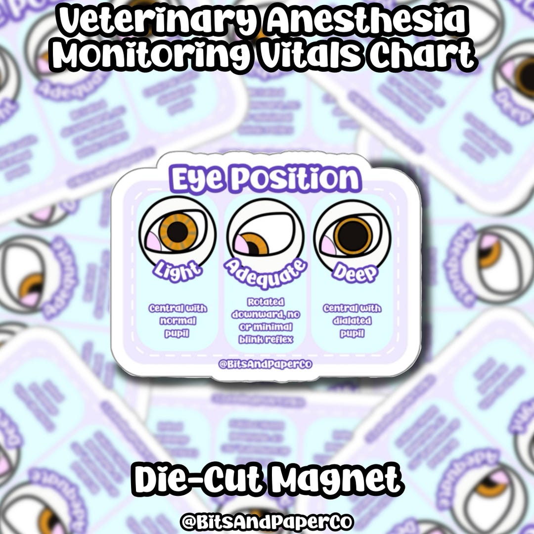 Veterinary Eye Position Anesthesia Chart | Canine & Feline | Monitoring ...