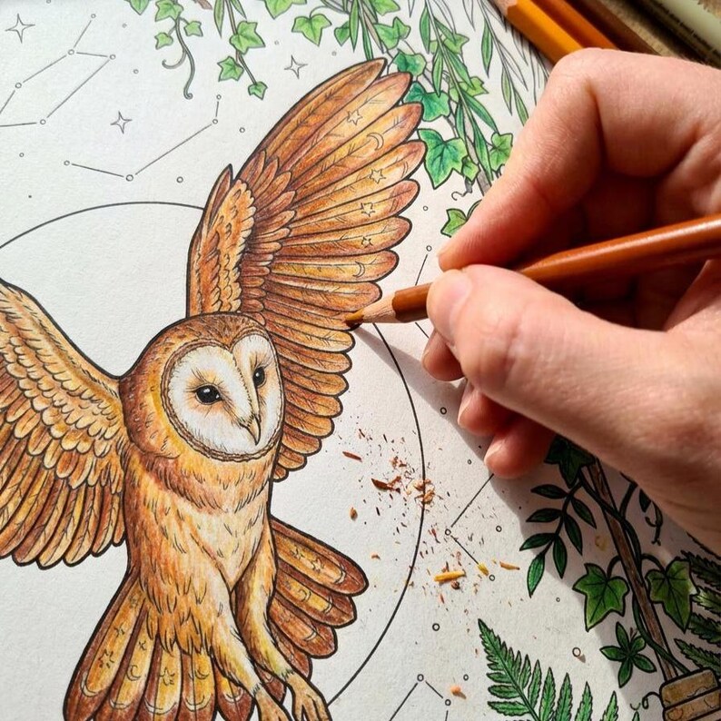 7 Midnight Garden Coloring Pages - Printable Pack - A4 & US Letter ...