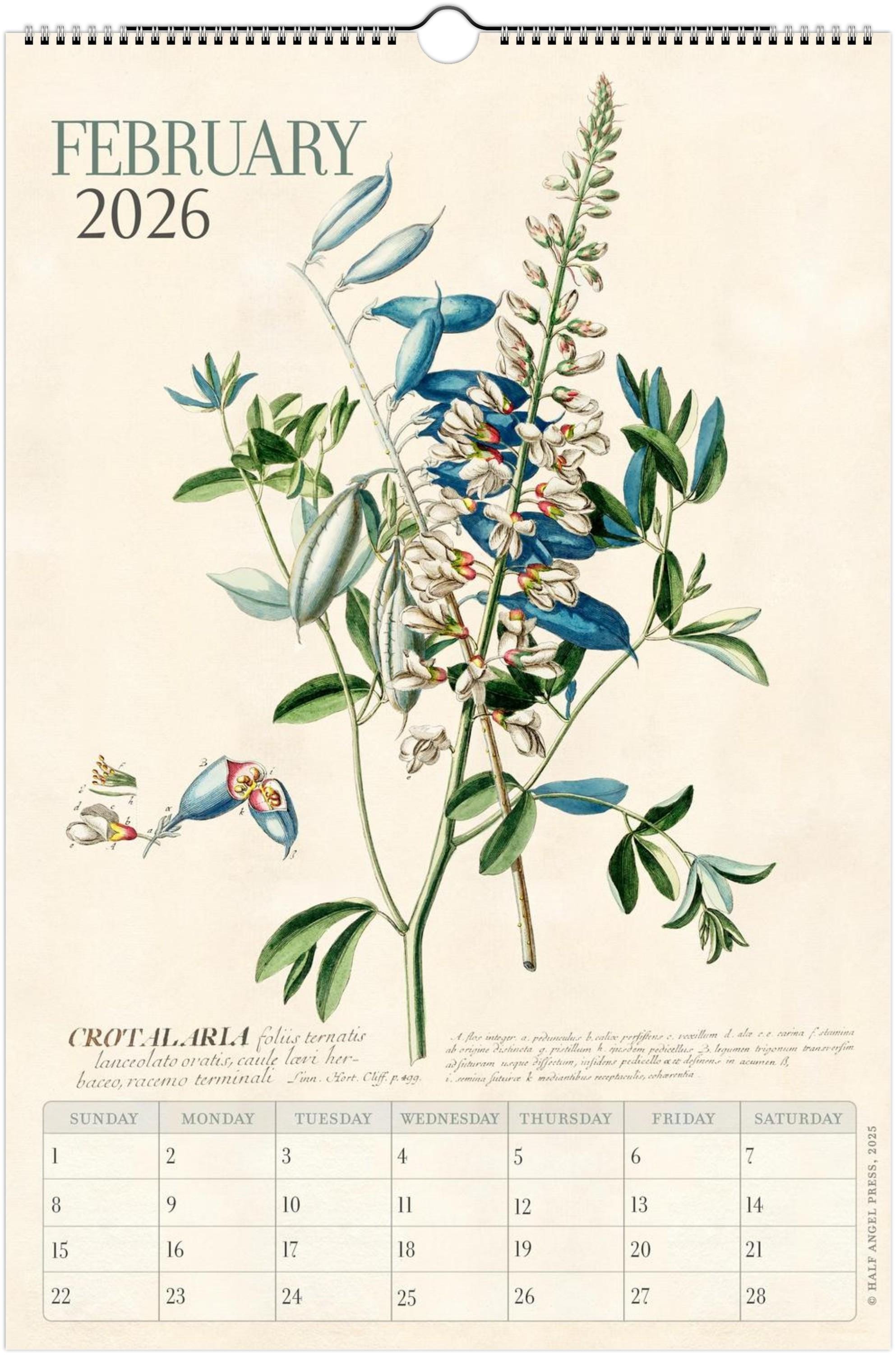2026-2027 Vintage Floral Calendar, Restored Botanical Art | Large ...