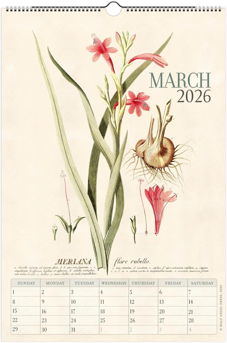 2026-2027 Vintage Floral Calendar, Restored Botanical Art | Large ...