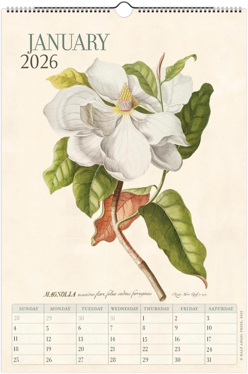 2026-2027 Vintage Floral Calendar, Restored Botanical Art | Large ...