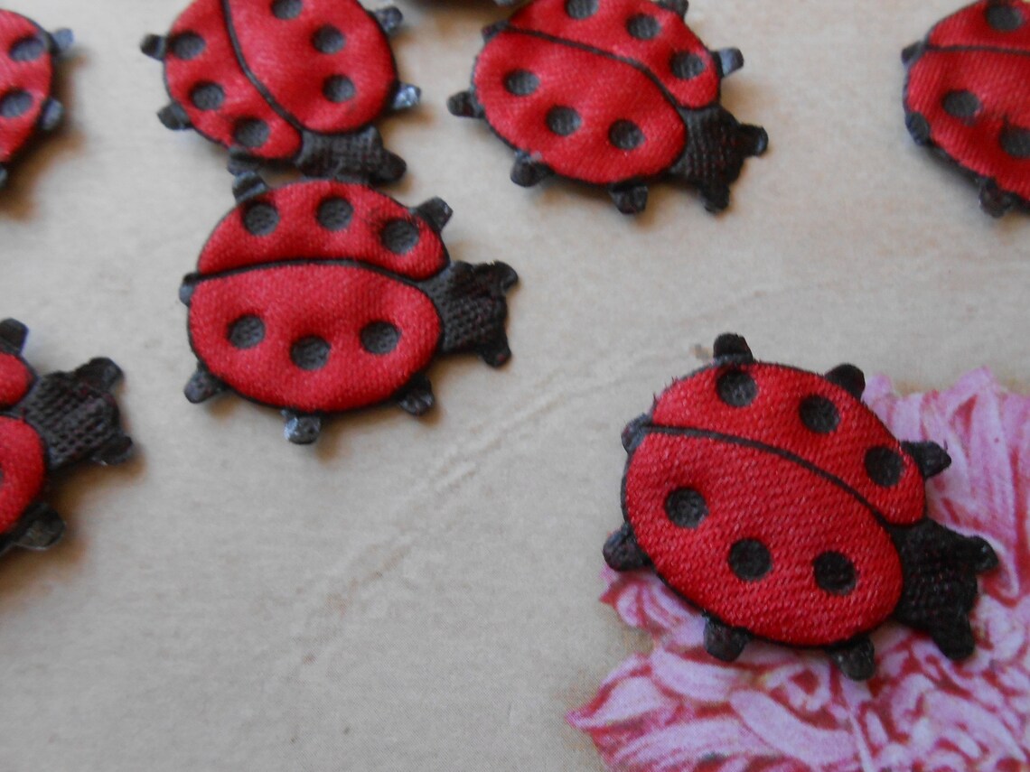 Ladybugs Patch Appliques Embroidered Iron on 10 Pcs Children | Etsy