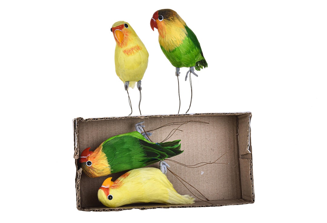 Artificial Birds With Real Feather Parrots Inseparable Set of 2 ...