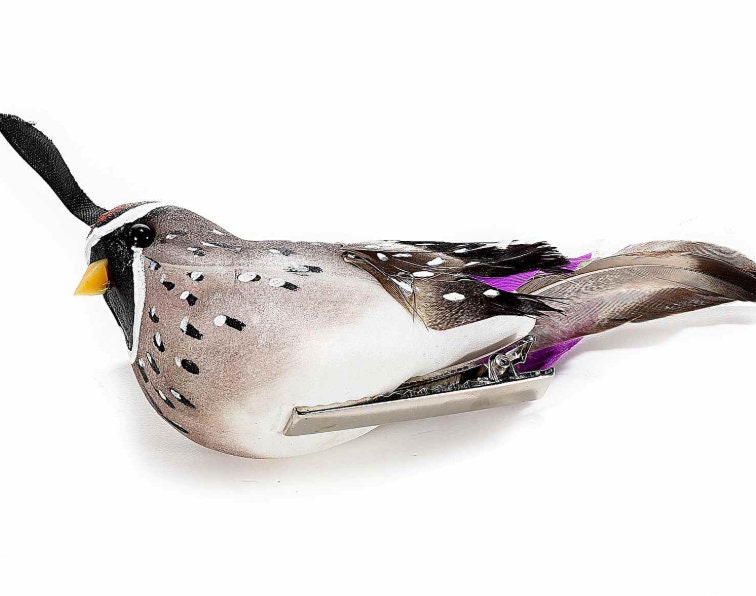 Artificial Birds With Real Feathers Set of 10 Assorted - Etsy