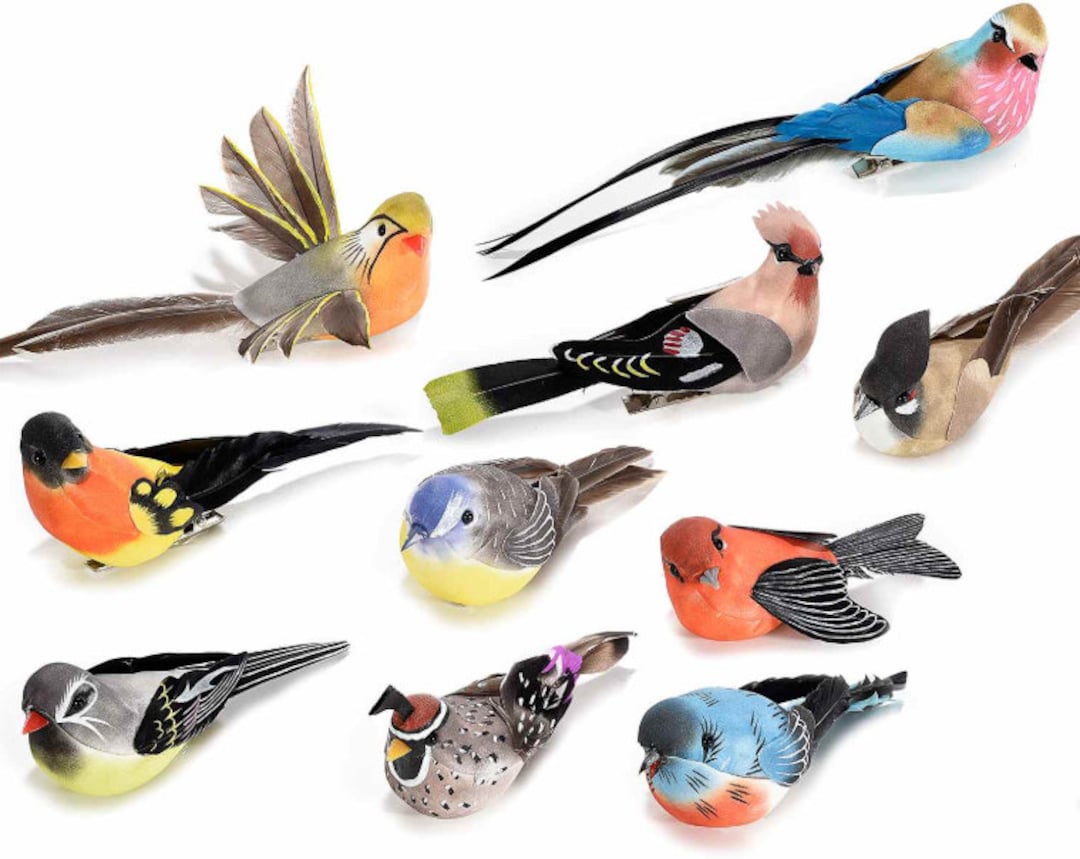 Artificial Birds With Real Feathers Set of 10 Assorted - Etsy