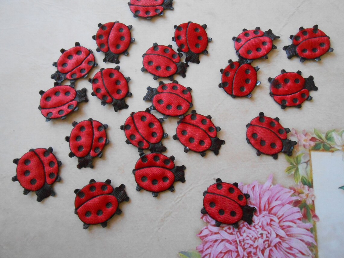 Ladybugs Patch Appliques Embroidered Iron on 10 Pcs Children | Etsy