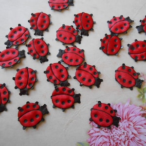 Ladybugs Patch Appliques Embroidered Iron on 5 Pcs - Etsy