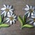 Edelweiss Iron on Embroidered Patches Set of 2 Appliques - Etsy
