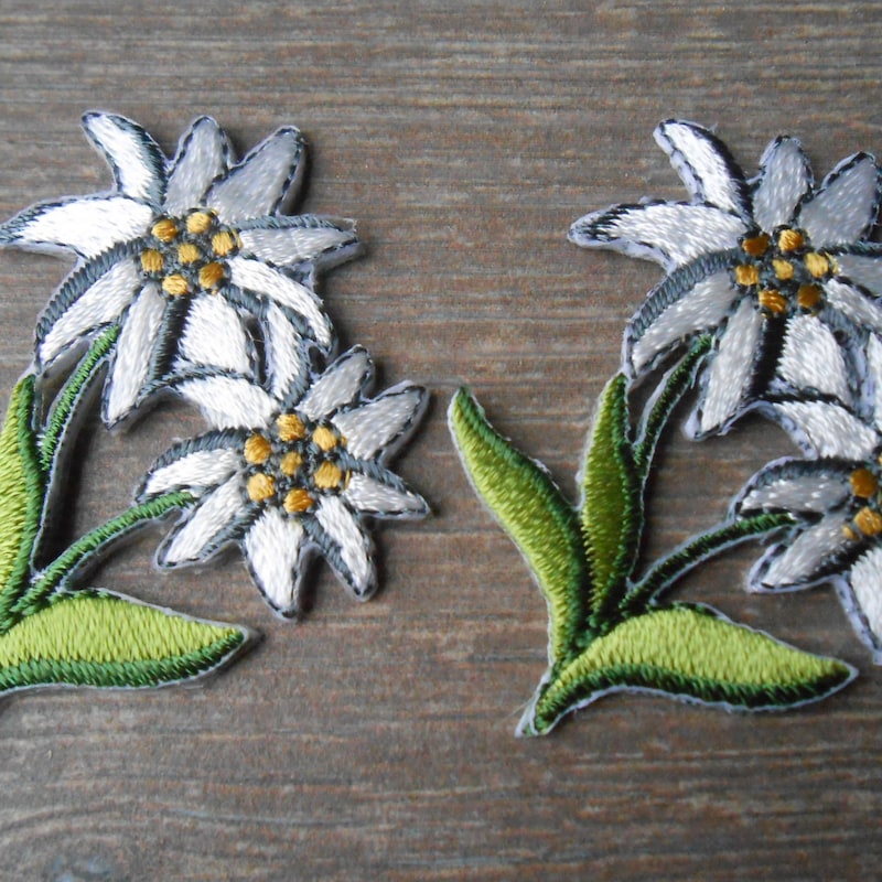 Edelweiss Embroidery - Etsy