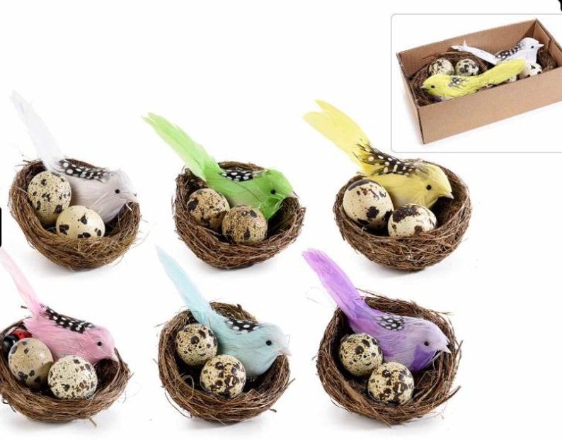 Artificial Mini Birds in Nest With Real Feather and Real Eggs on Clip ...