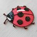 Ladybugs Patch Appliques Embroidered Iron on 2 Pcs Embellishment - Etsy