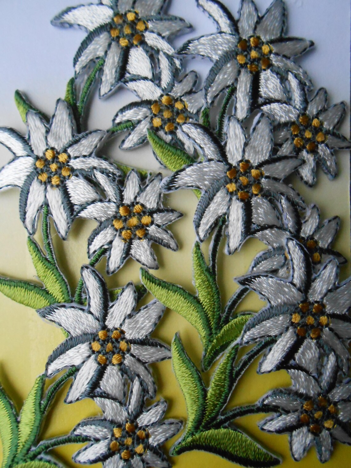 Edelweiss Iron on Embroidered Patches Set of 2 Appliques - Etsy