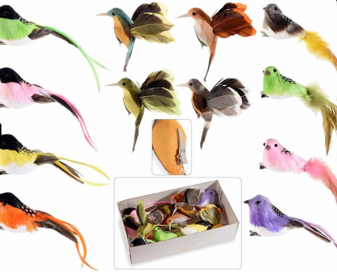 Artificial Birds With Real Feathers Set of 12 Assorted on Clip - Etsy