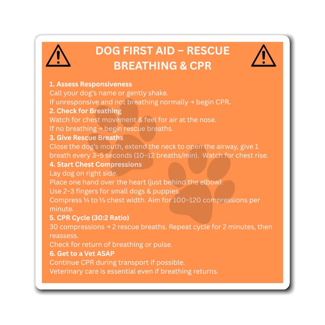 Dog CPR First Aid Magnet | Pet Emergency Reference Magnet - Etsy
