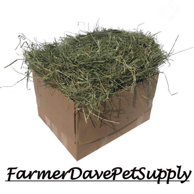 FarmerDavePetSupply - Etsy