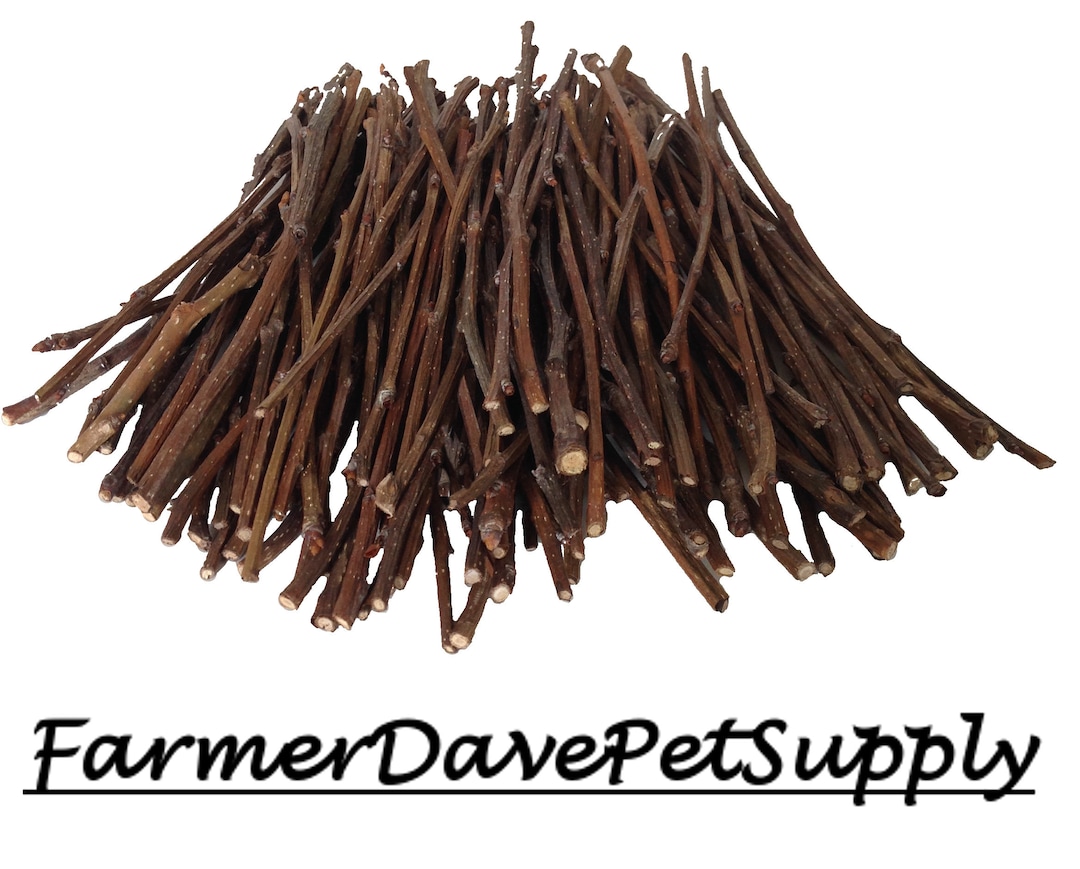 100 PEAR ULTRA-SKINNY Sticks for Rabbits, Guinea Pigs, Chinchillas ...