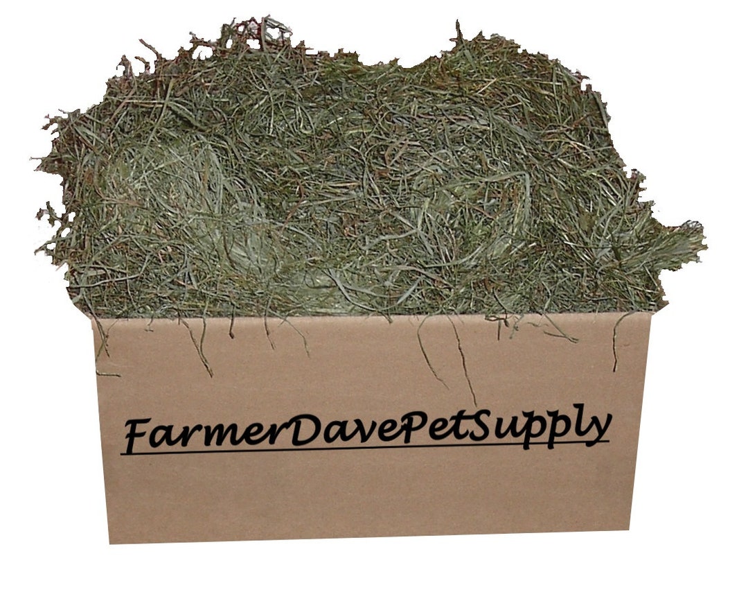 5 Lb. Premium 3rd Cut Timothy Hay for Chinchillas, Guinea Pigs and ...