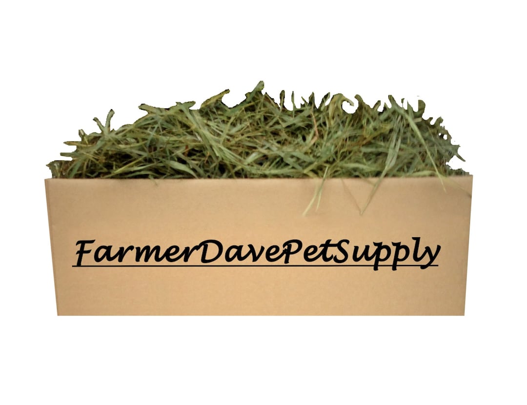 5 Lb 2nd Cut Timothy Hay for Bunnies, Chinchillas & Guinea Pigs - Etsy