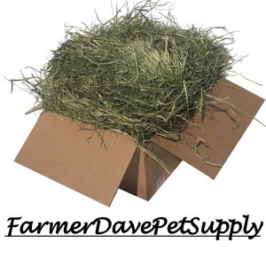 5 Lb. Premium 1st Cut Timothy Rabbit Hay - Etsy