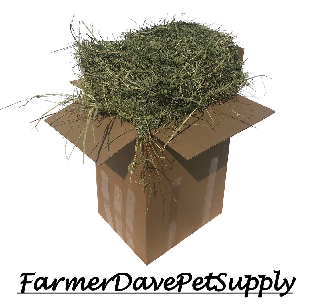 25 Lb. Premium 1st Cut Timothy Rabbit Hay - Etsy