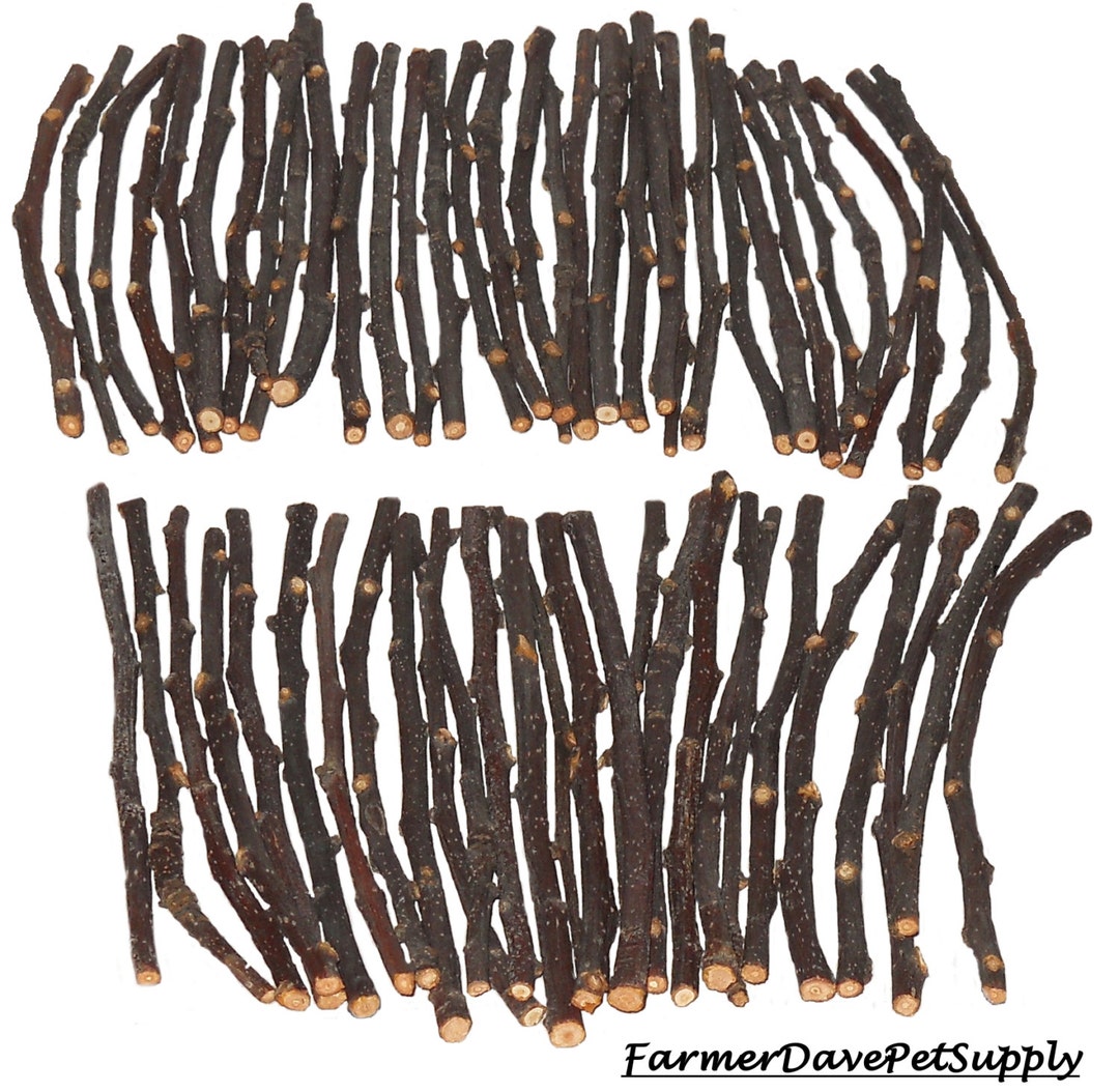 60 PEAR SKINNY STICKS for Rabbits, Guinea Pigs, Chinchillas, Gerbils ...