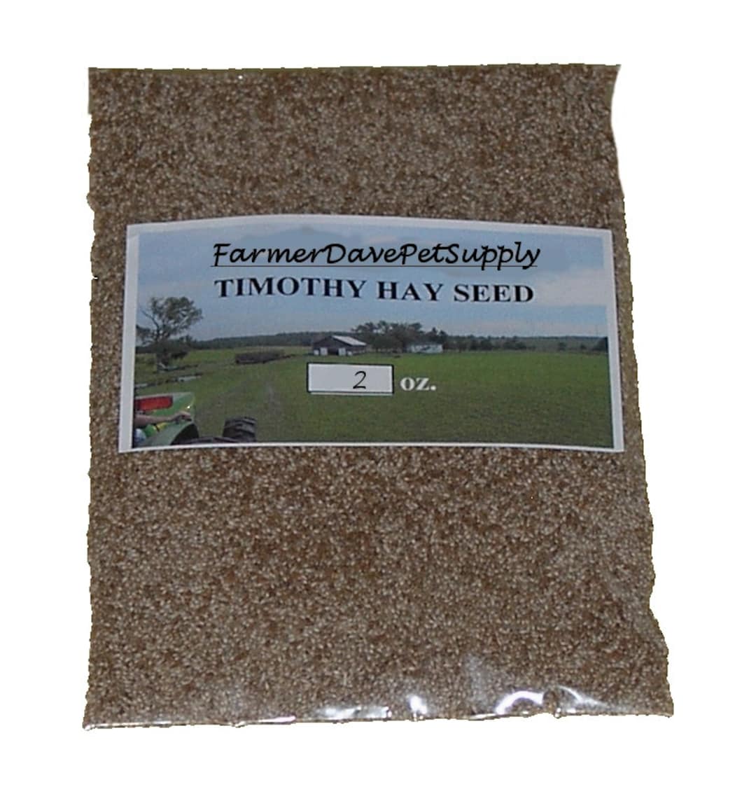 2 Oz Timothy Hay Seed Etsy
