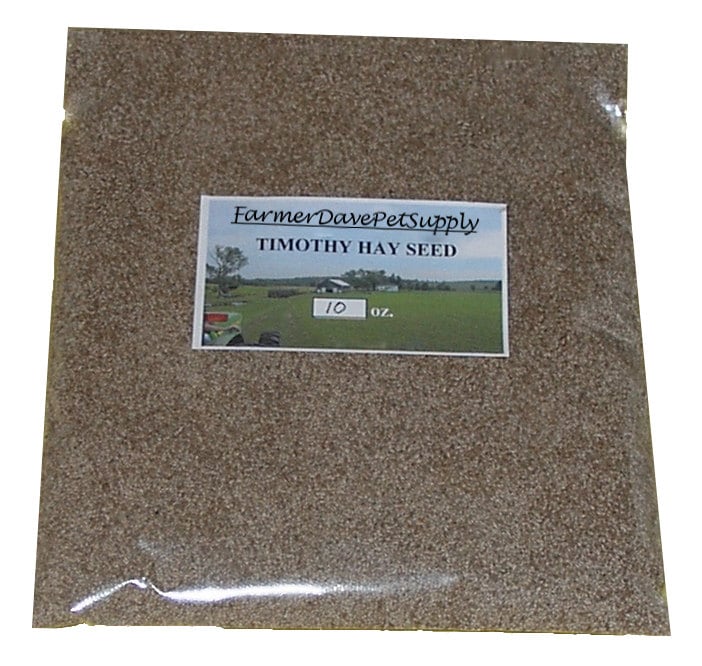10 Oz. TIMOTHY HAY SEED - Etsy