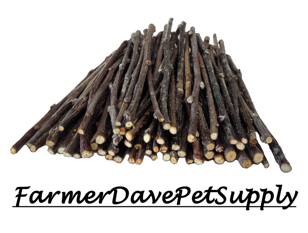60 APPLE SKINNY STICKS for Rabbits, Guinea Pigs, Chinchillas, Gerbils ...
