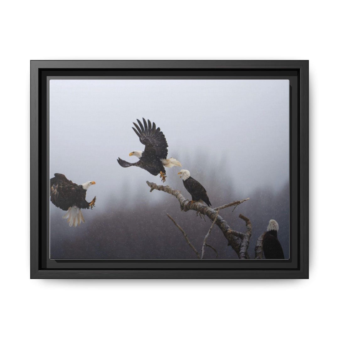 Bald Eagle Flock Matte Canvas Framed | Wildlife Bird Photography Wall ...