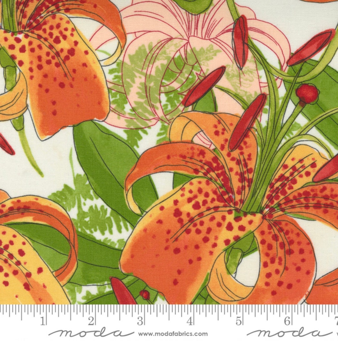 Carolina Lilies Cotton Fabric by Robin Pickens for Moda Fabric 48700 11 ...