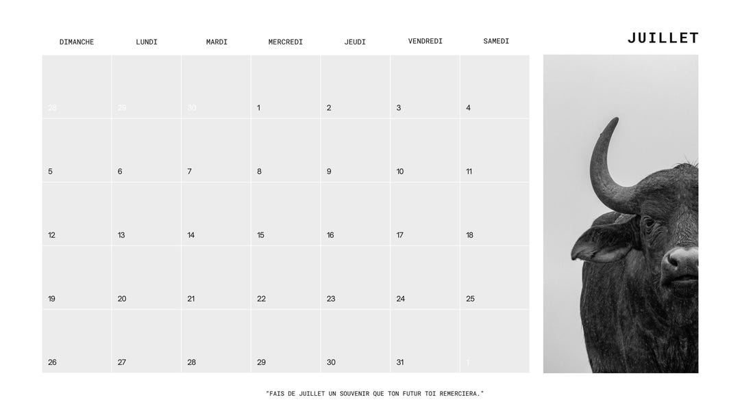 2026 Minimalist Black and White Calendar | Printable PDF & Tablet ...