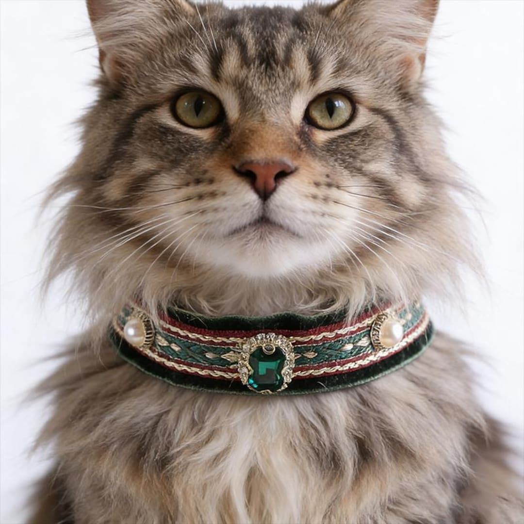Vintage Royal Green Velvet Cat Collar, Embroidered Boho Pet Choker With ...