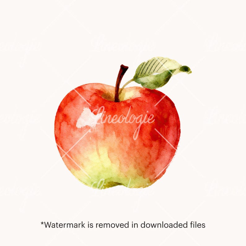 Watercolor Apple Branch Clipart | 12 PNG/JPG Files (digital Download ...