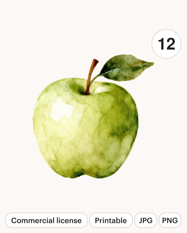 Watercolor Apple Branch Clipart | 12 PNG/JPG Files (digital Download ...