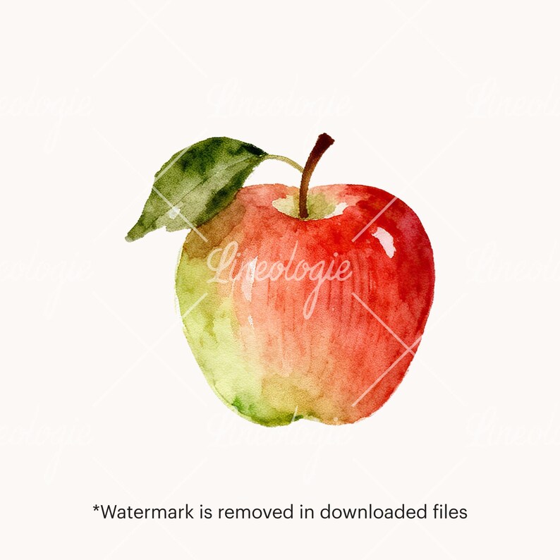 Watercolor Apple Clipart Set | Red Green Fruit Graphics (digital ...