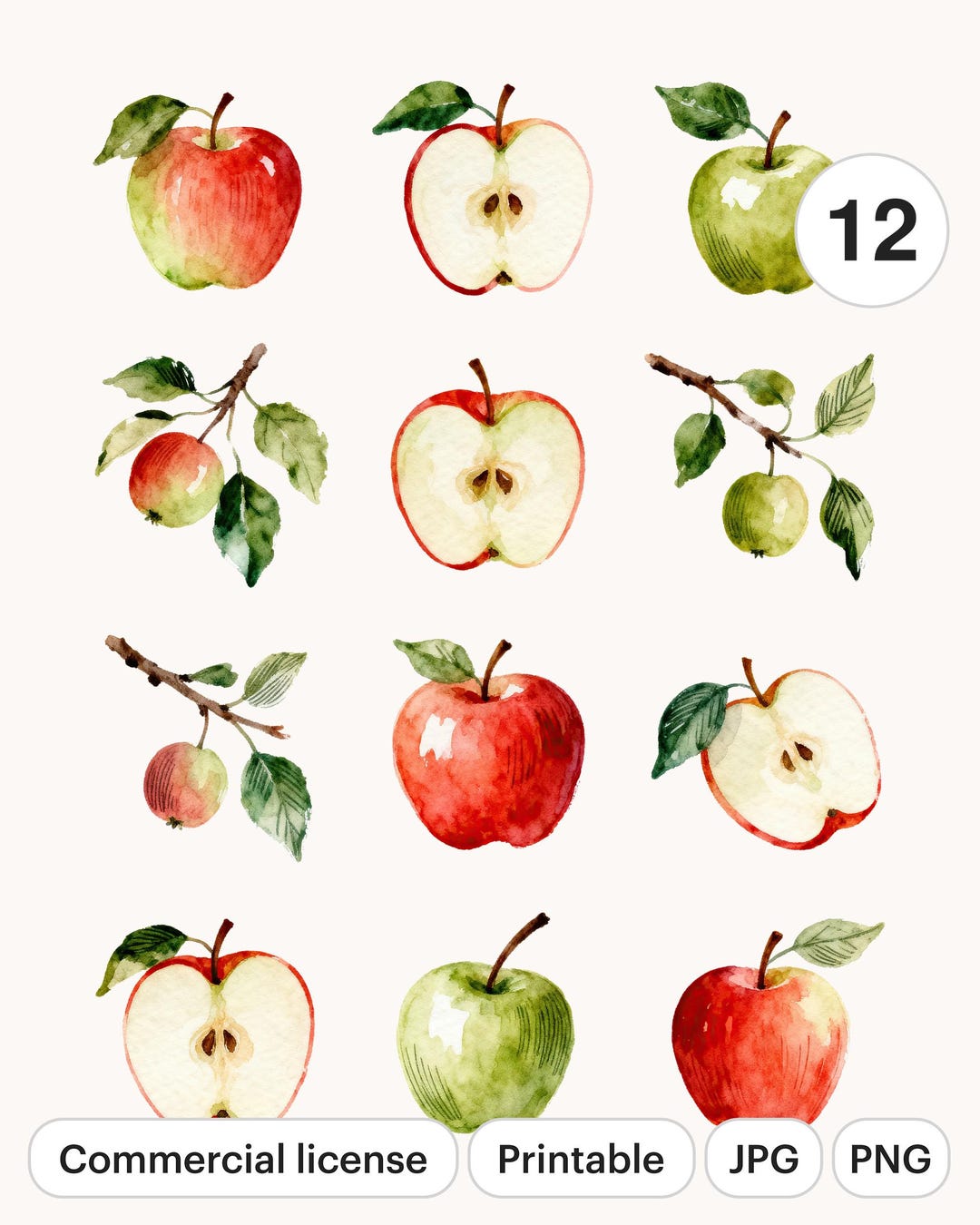 Watercolor Apple Clipart Set | Red Green Fruit Graphics (digital ...
