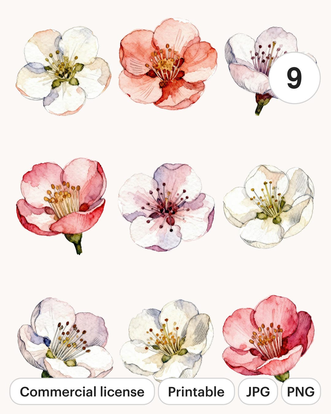 9 Watercolor Cherry Blossoms Clipart Set | Floral PNG & JPG Bundle ...