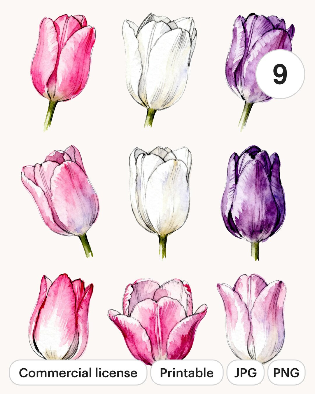 9 Pink Tulips Clipart Set | Watercolor Floral PNG & JPG | Printable ...
