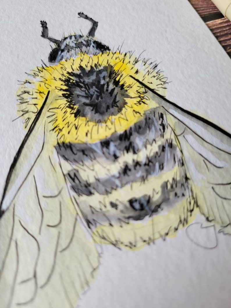4x6 Illustration of Bumble Bee | Original Art | Art Prints - Etsy