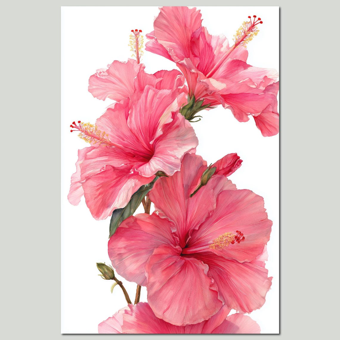 Hibiscus Poster | Watercolor Floral Art | Pink Hibiscus Flowers ...