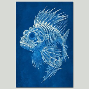 Fish Skeleton Poster | Ocean Anatomy Illustration | Modern Wall Art ...