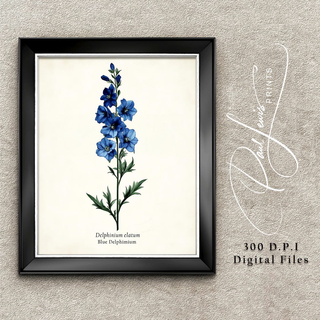 Vintage Botanical Printable - Delicate Blue Delphinium Art, Cottagecore ...