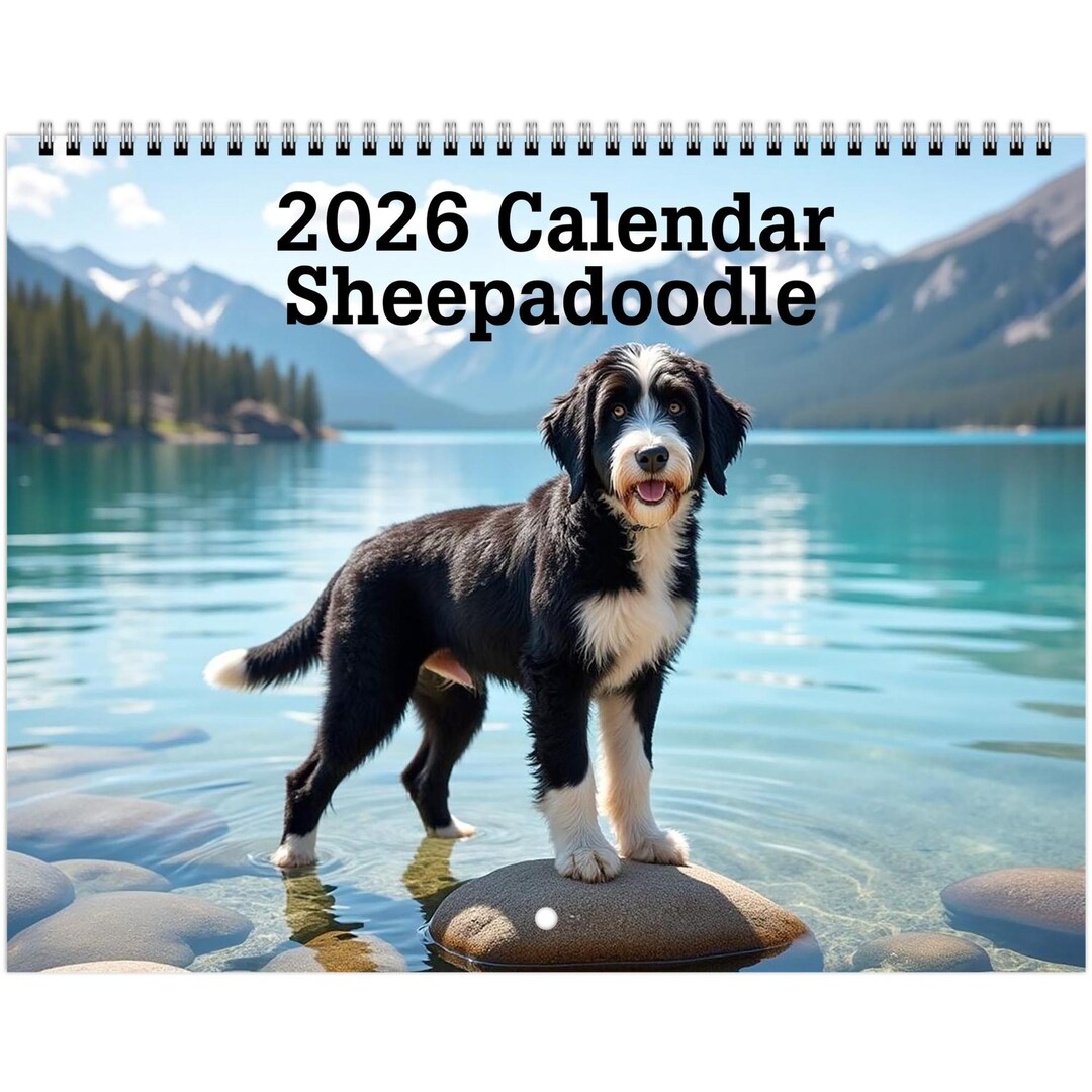 Sheepadoodle 2026 Wall Calendar – Dog Lover Gift - 11" X 8.5" - Etsy