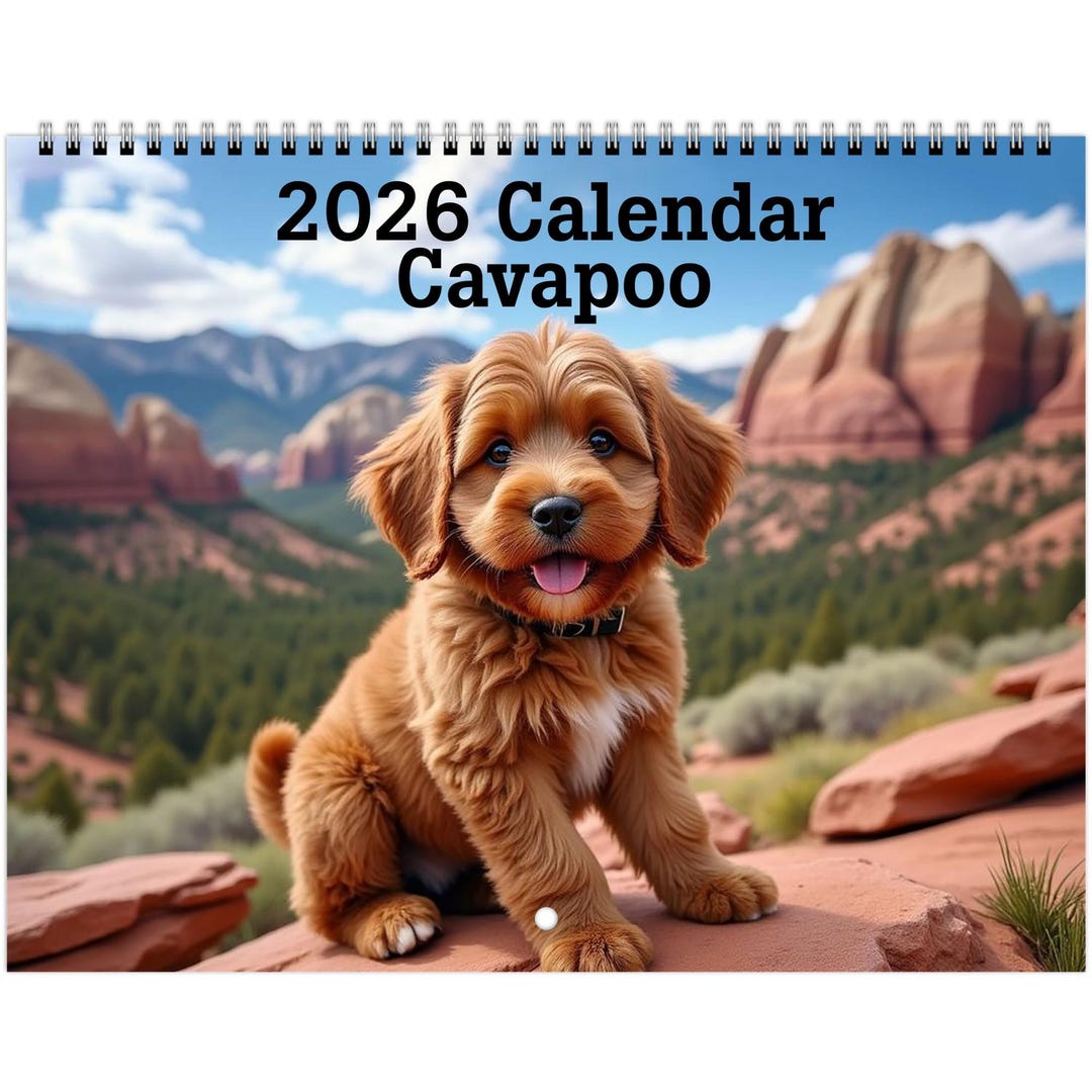 Cavapoo 2026 Wall Calendar – Dog Lover Gift - 11" X 8.5" - Etsy